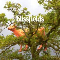 Blissfields Events - Buy Official Tickets | Skiddle