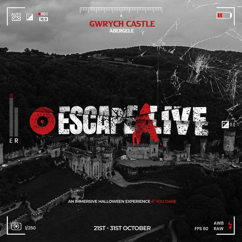 Escape Alive - Upcoming Events & Tickets